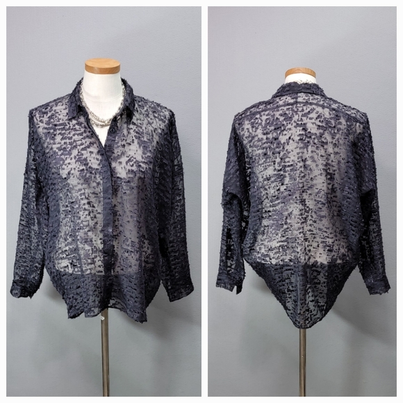 Alani The Grey | Tops | Alani The Gray Sheer Blouse Size S | Poshmark